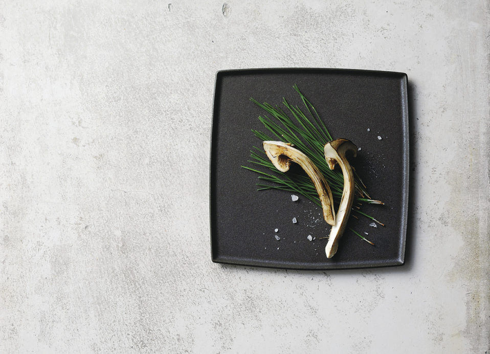 PRODUCT | SHUN JAPAN